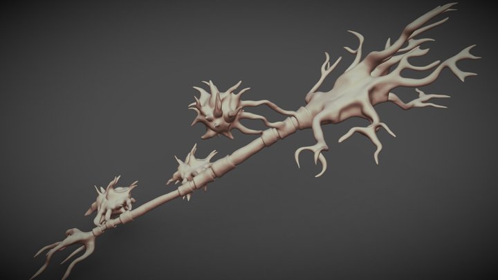Neuron 3D models - Sketchfab