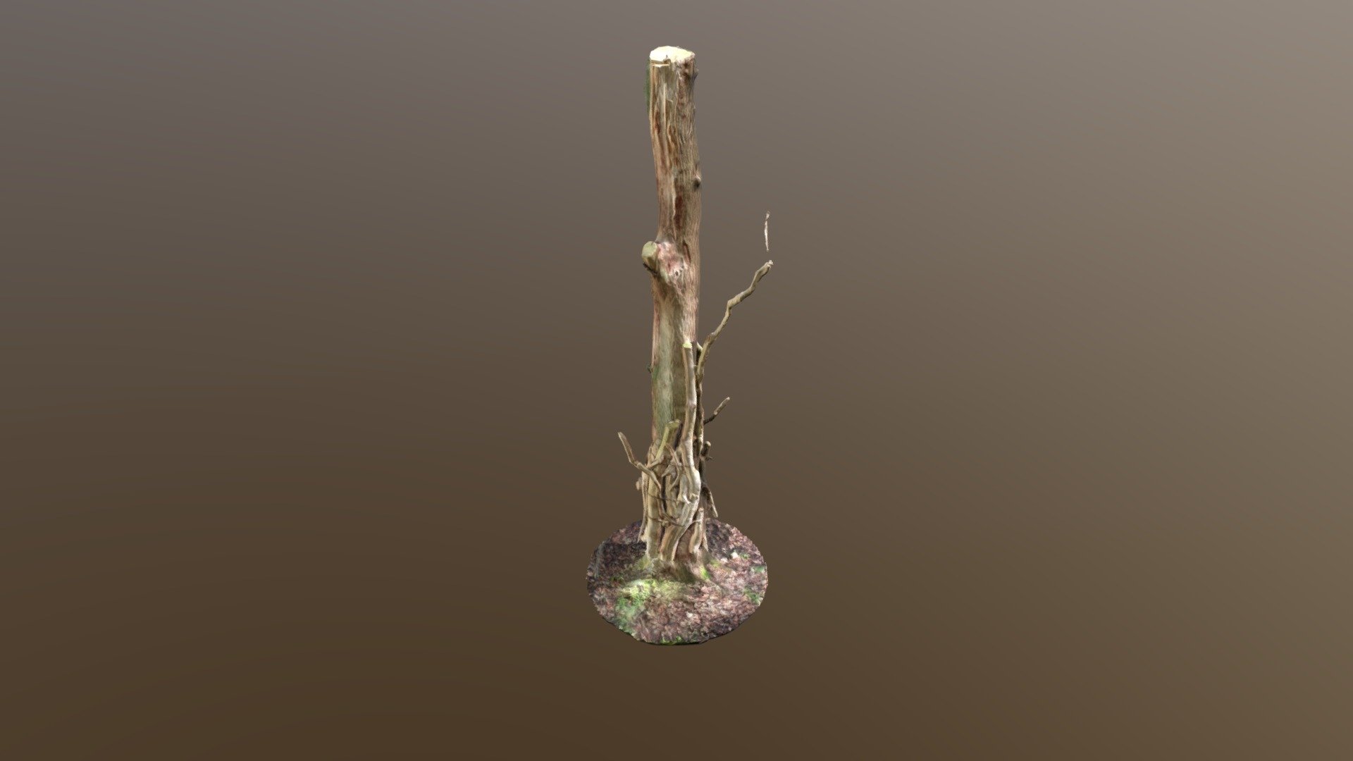 BIFoR FACE Deadwood bundle - 3D model by DrRickThomas (@RickThom ...