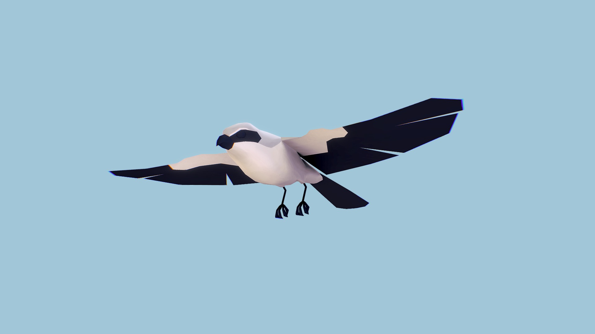 Flying Animation - 3D model by M. Wallace (@walliswahles) [bed0b01 ...