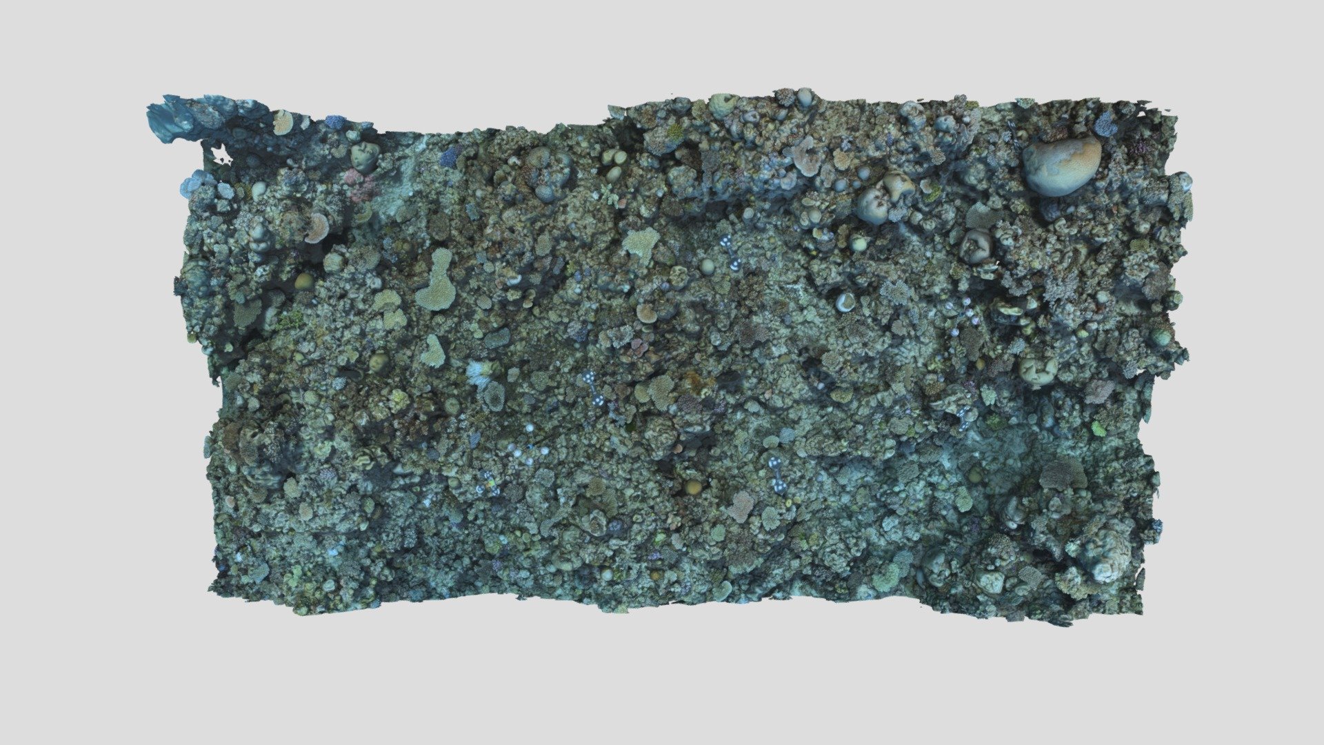 Davies_FR1S_P4_202201 - 3D model by EcoRRAP (@AIMSEcoRRAP) [bed24ea ...