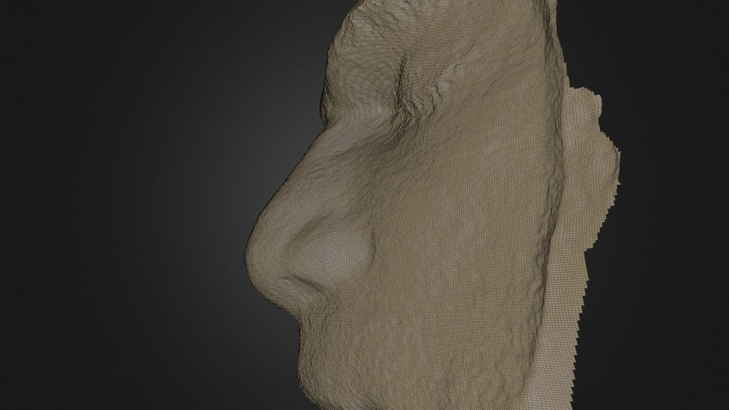 Front Face - 3D model by vedamsudhakar [bed4dd3] - Sketchfab