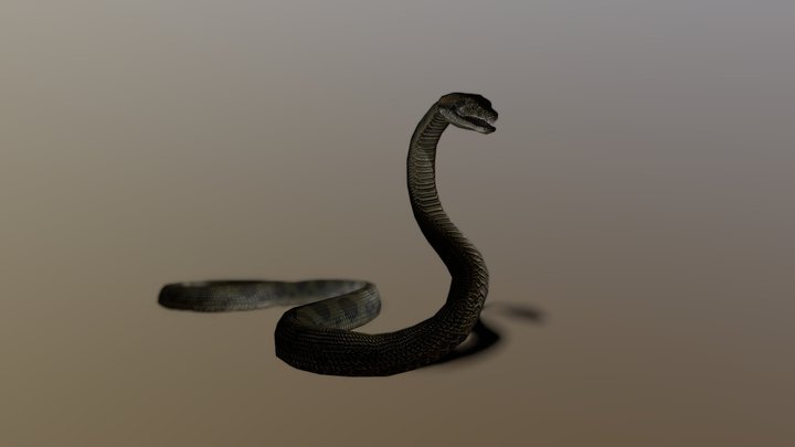 Anaconda 3D models - Sketchfab