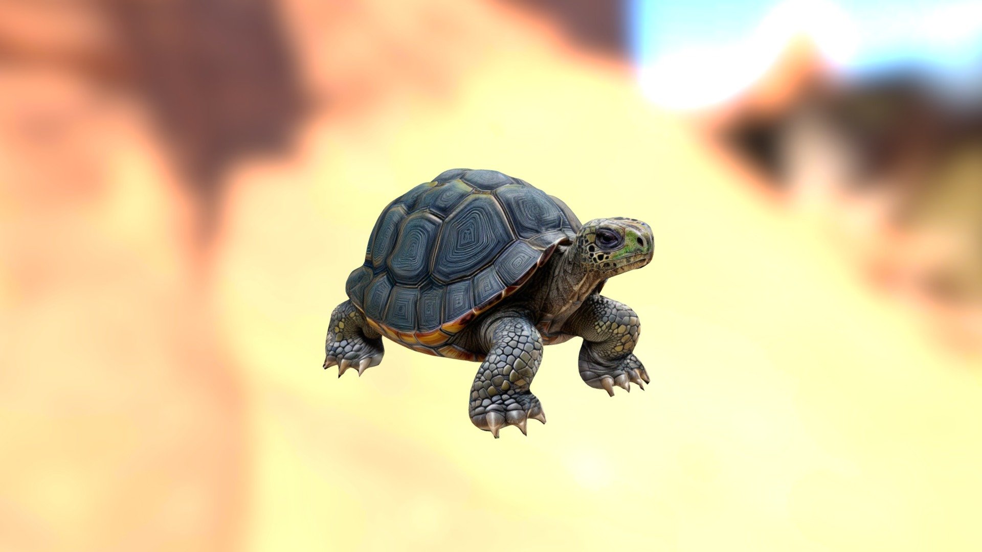 Realistic Tortuga - Buy Royalty Free 3D model by Inventive World ...