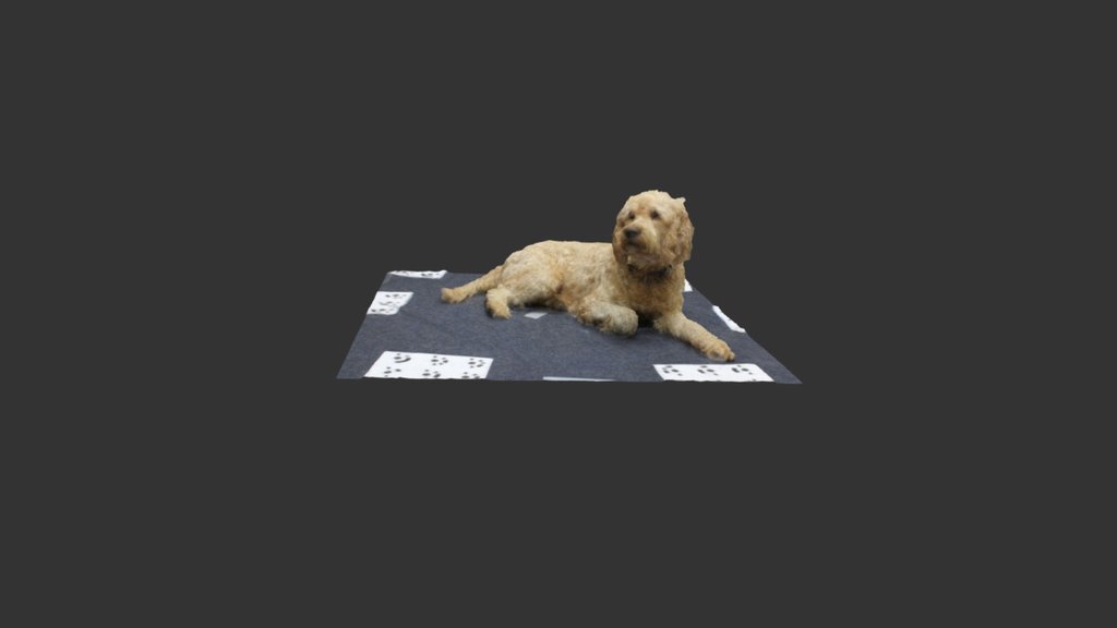 Tyler_17 - 3D model by EikJagemann [bedbafd] - Sketchfab