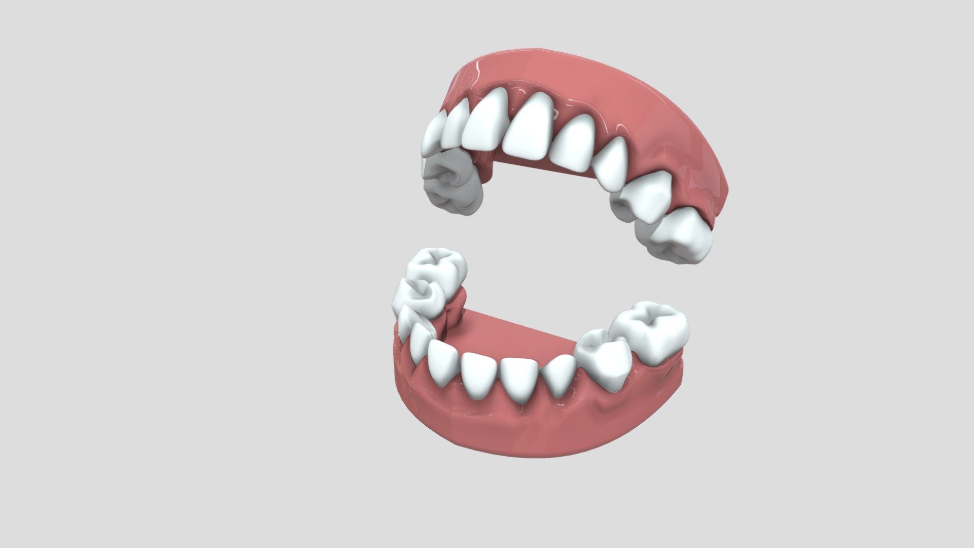 乳齒模型 Deciduous Teeth Model - 3D model by UPEPHK [bee5c0b] - Sketchfab