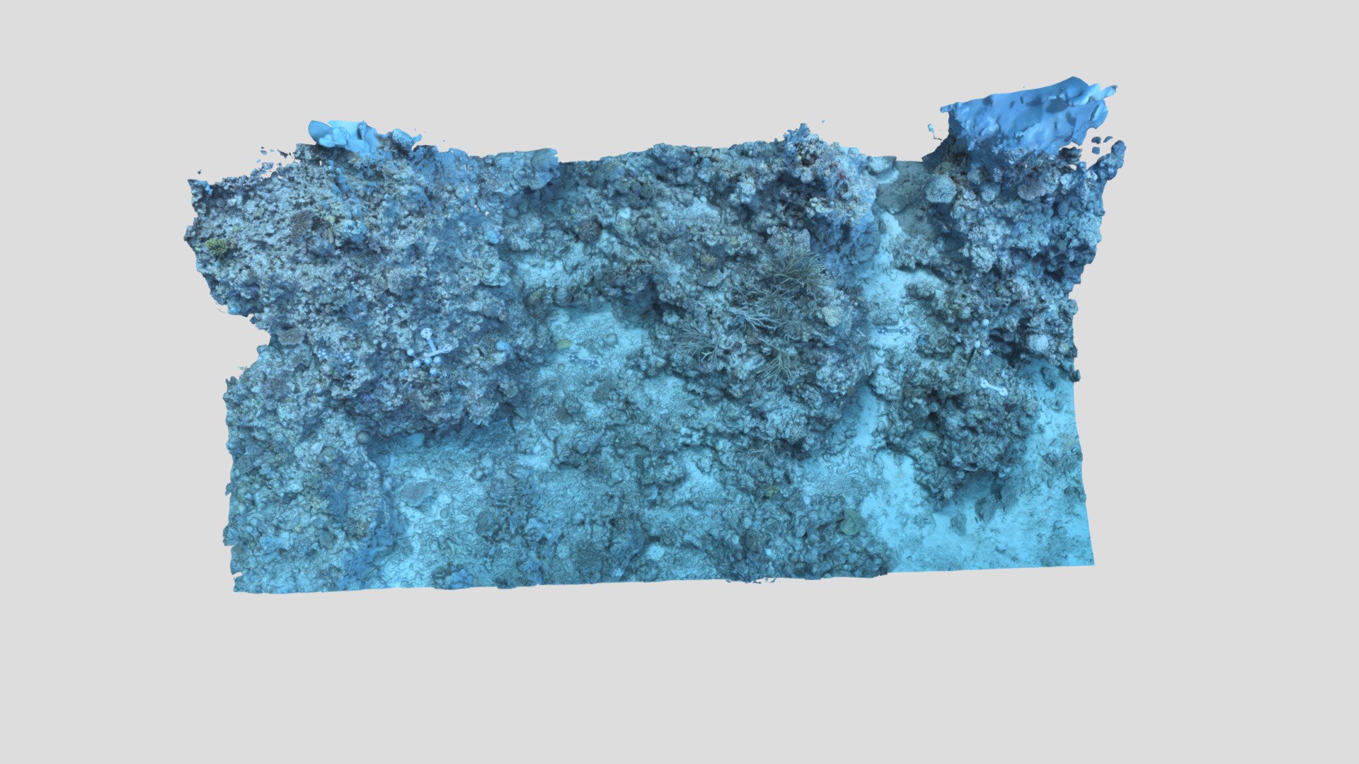 Davies_BA2D_P3_202101 - 3D model by EcoRRAP (@AIMSEcoRRAP) [beefe4f ...