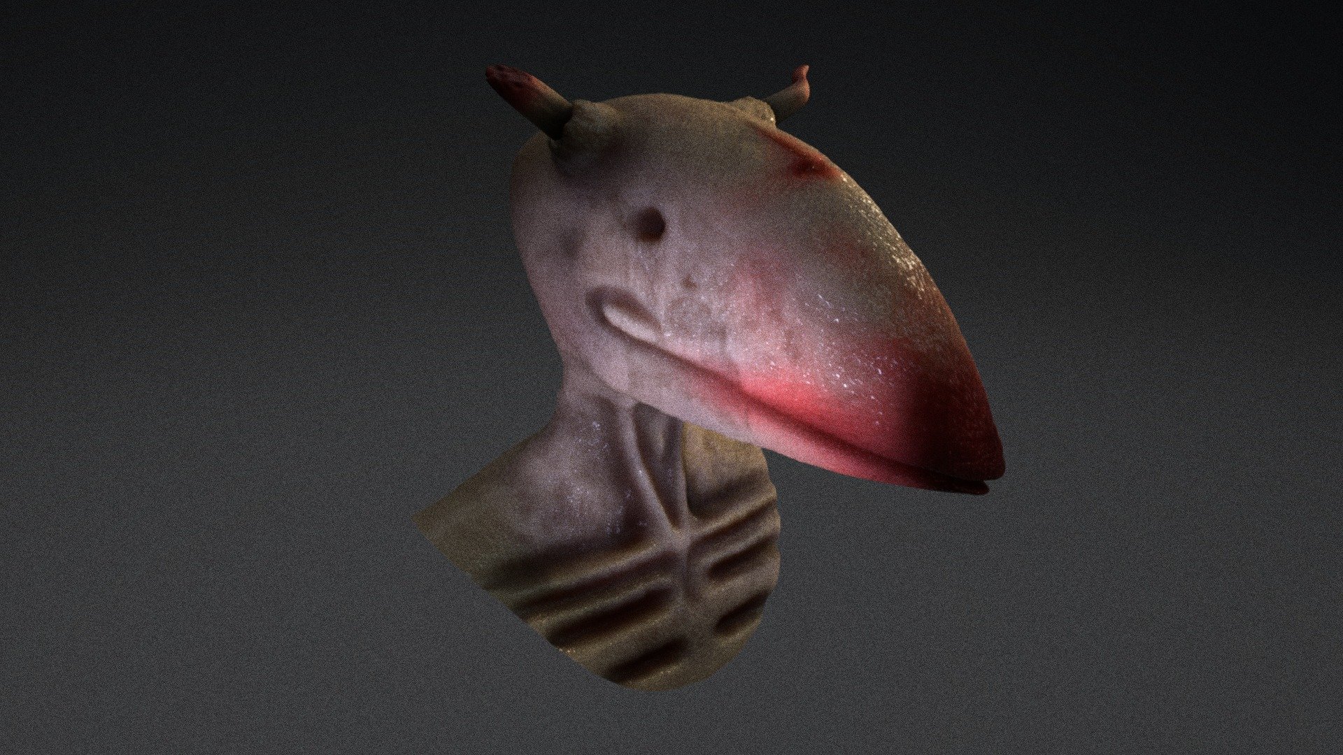 Bird Face - 3D model by EELtooth (@Wobin666) [bef1be4] - Sketchfab