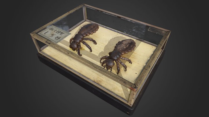 Parasitology 3D models - Sketchfab
