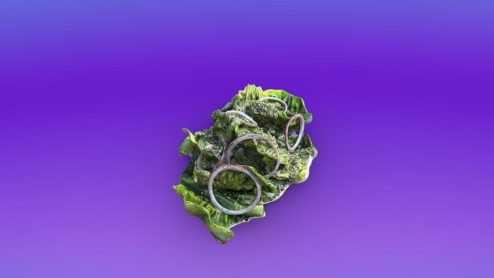 Lettuce 3D models - Sketchfab