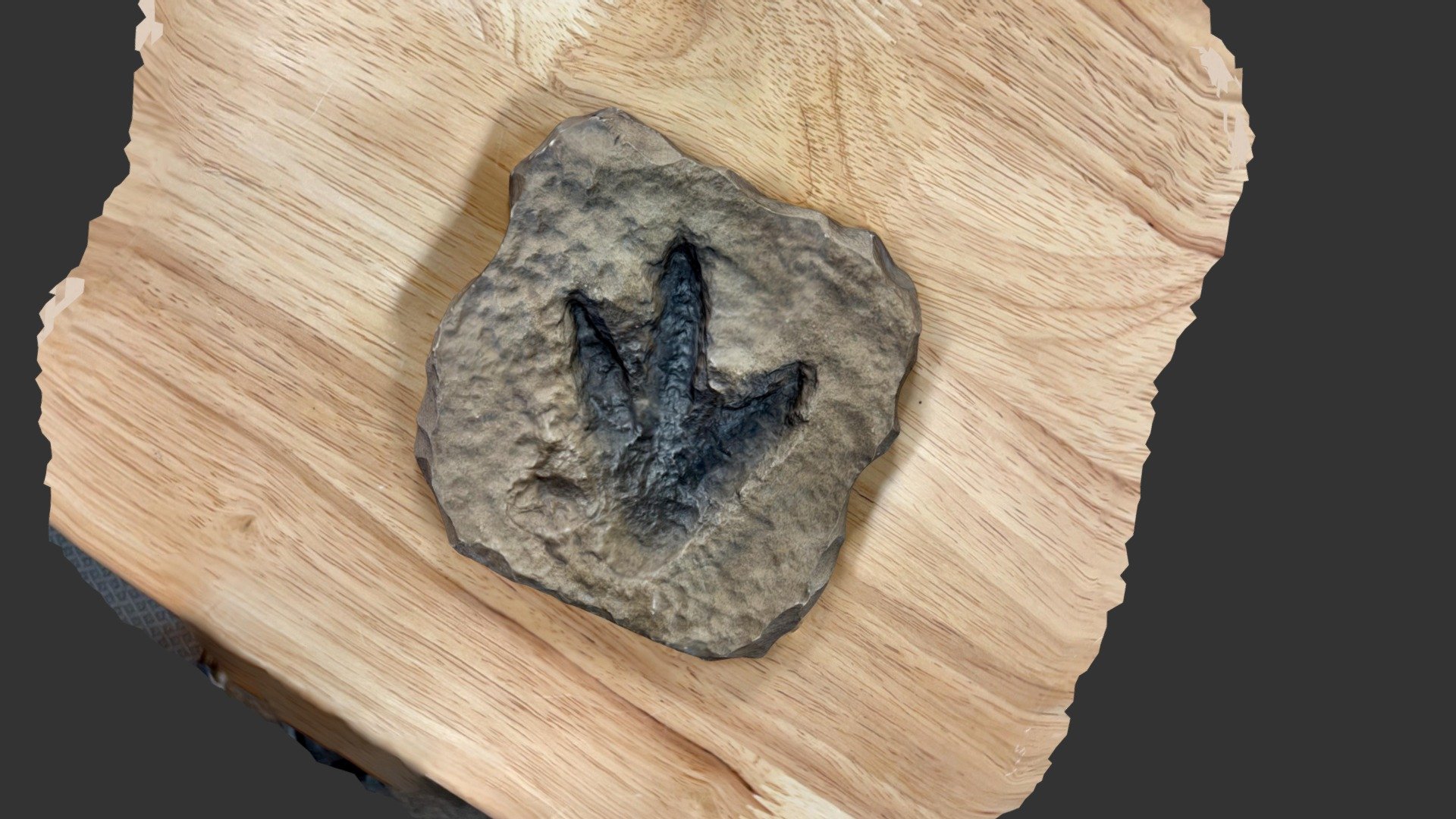 Dinosaur footprint scan - 3D model by Evelyn Vollmer (@vollmerevelyn ...