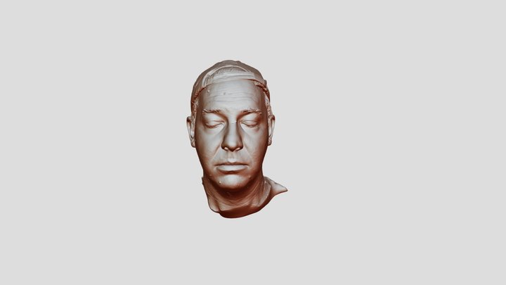 Head-scan 3D models - Sketchfab