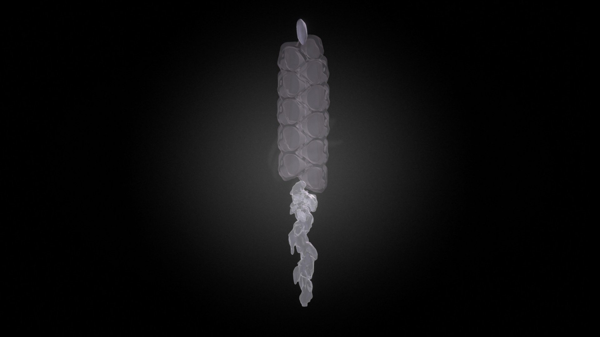 Lab 3DR - Common siphonophore (Nanomia bijuga) - Download Free 3D model ...