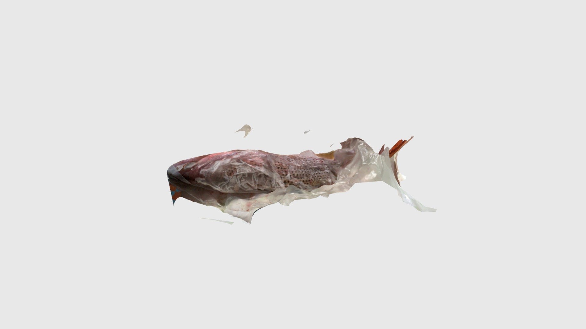 Fish wrapped in a bag - Download Free 3D model by kiulai0507 [bf1e248 ...