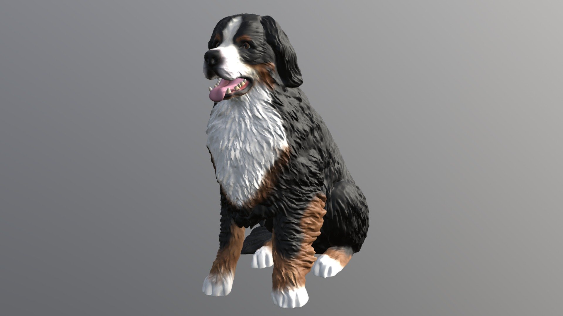 1901021- Albert- Bernesef - 3D model by Arty Lobster - Pet Sculptures ...