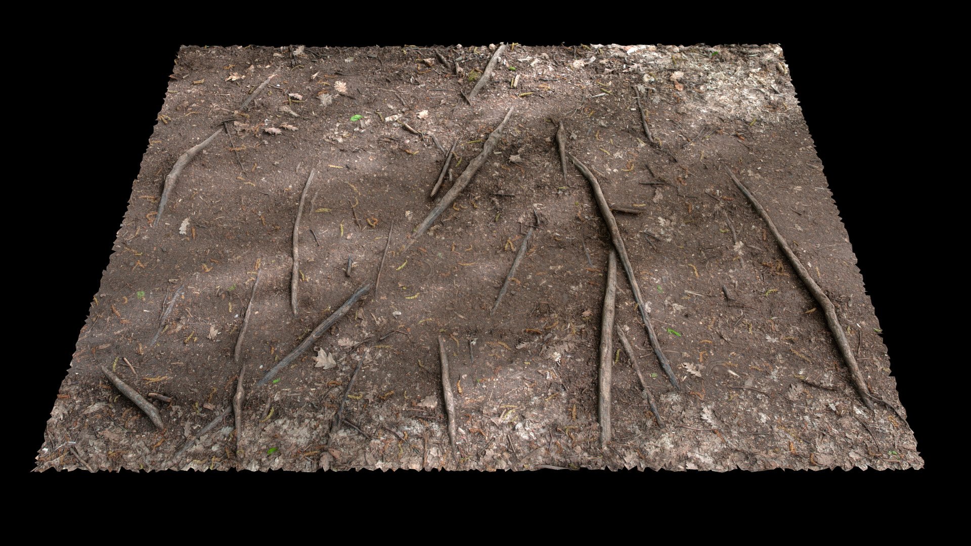 Forest surface scan - Download Free 3D model by Bogdan Georgescu ...