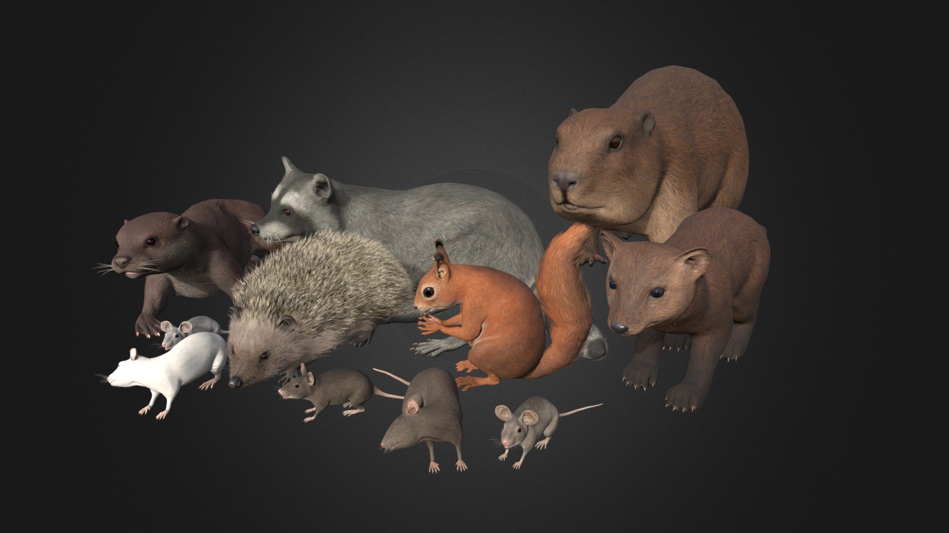Pack Of Small Animals - Buy Royalty Free 3D model by Rifat3D [bf467e3 ...