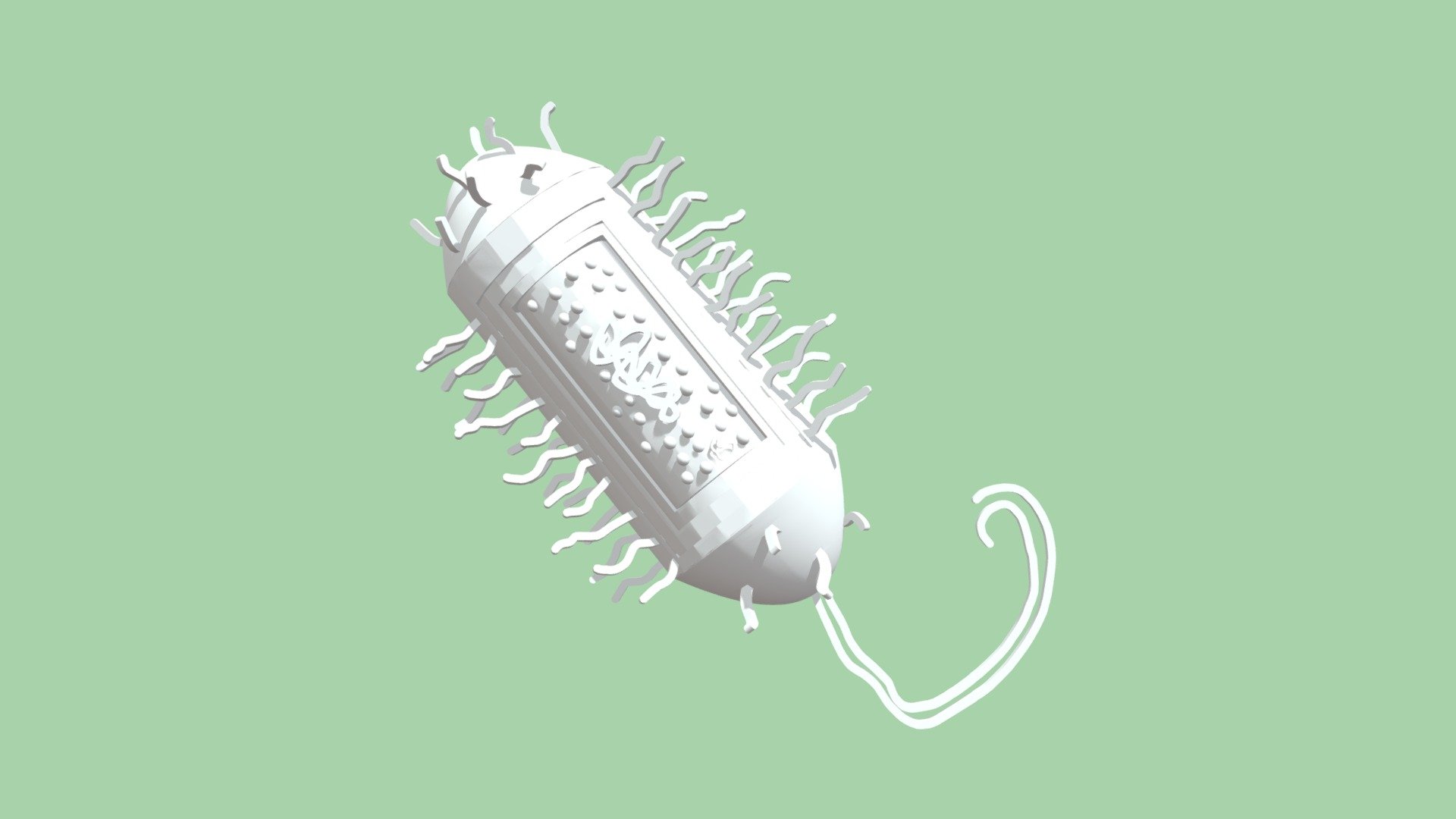 MICROUGHS_Salmonella_EA_AO_SG_AC - Download Free 3D model by emily ...