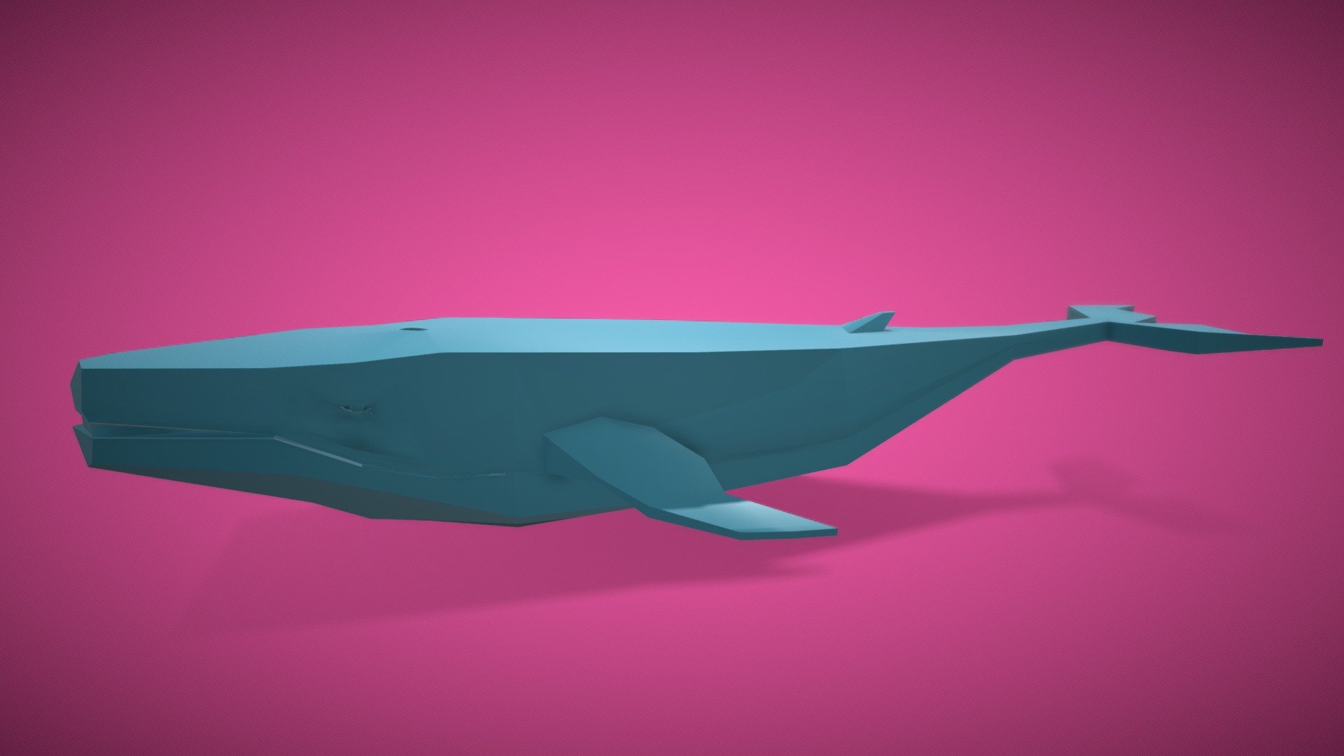 Whale - 3D model by onecanbehere [bf4e1e7] - Sketchfab