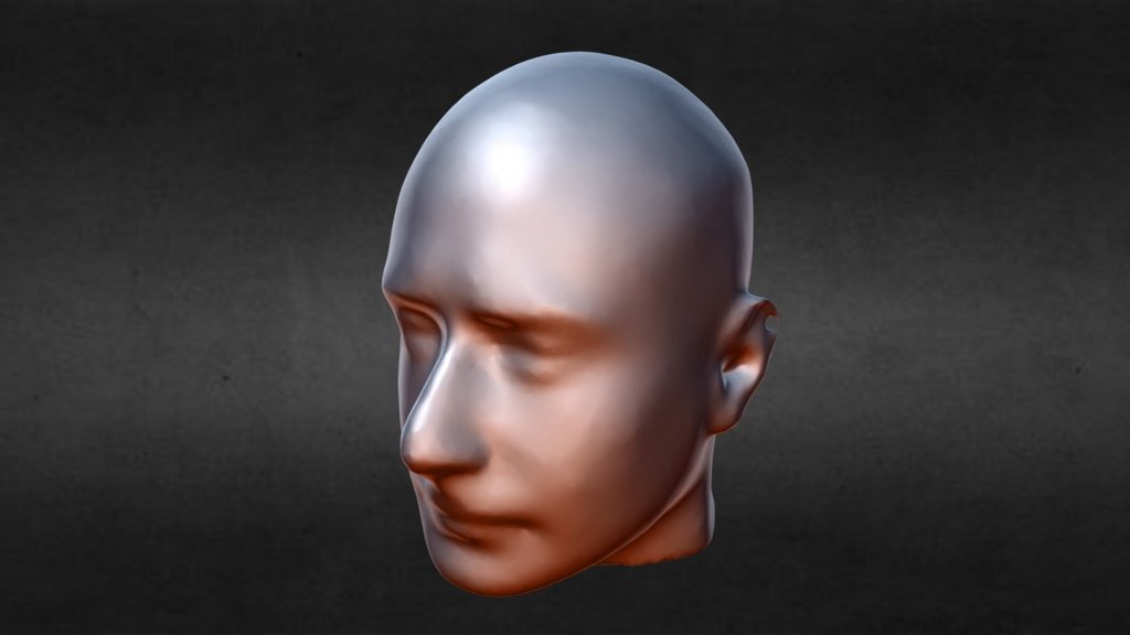 Face scan from photogrammetry 2. - 3D model by cr8zy1van [bf5095f ...