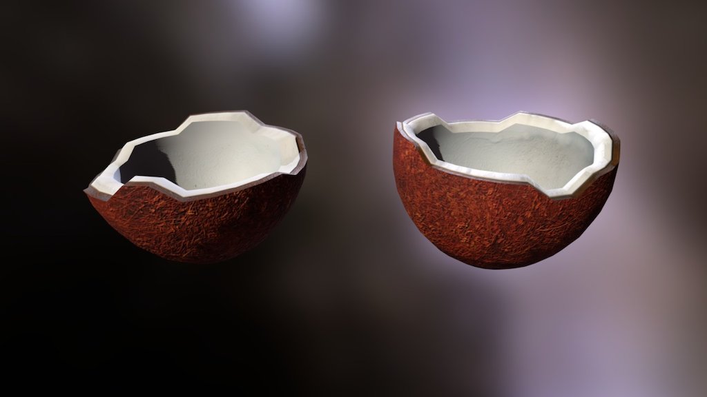 Coconut - 3D model by Sarah Jackson (@sarahjackson) [bf56155] - Sketchfab