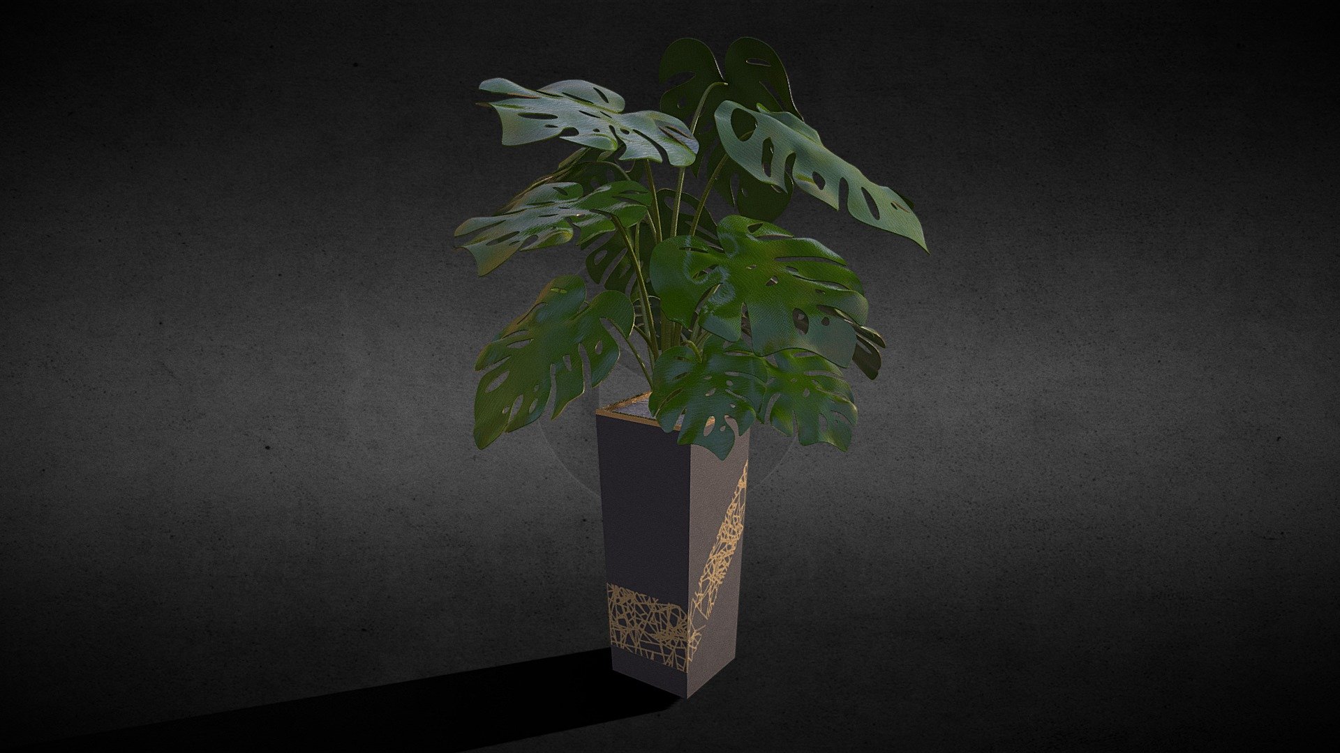Monstera Deliciosa - Buy Royalty Free 3D model by ECHO (@Echo.3D ...
