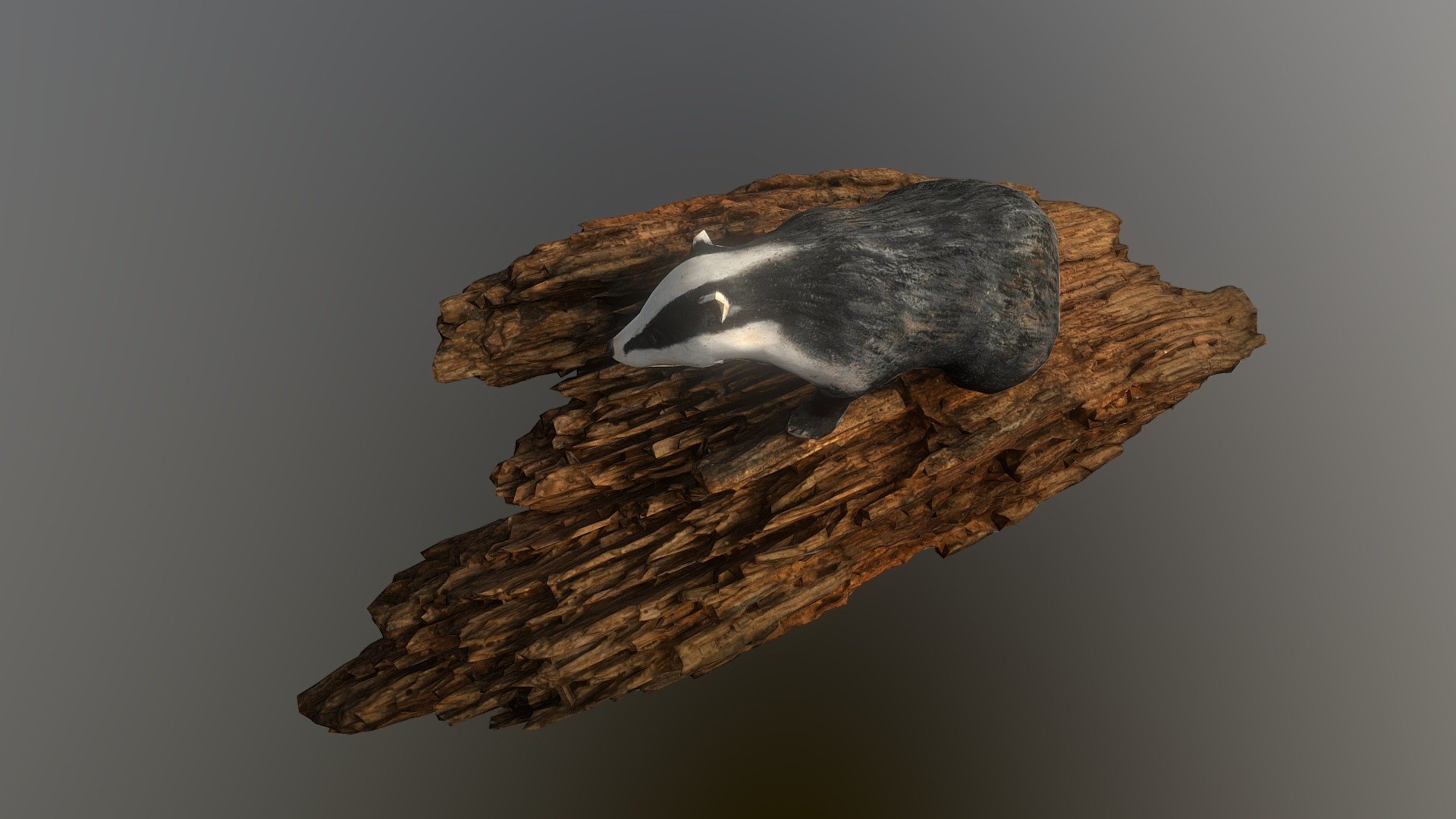 Badger Clay Sculpture - 3D model by isabelphoenix [bf60642] - Sketchfab