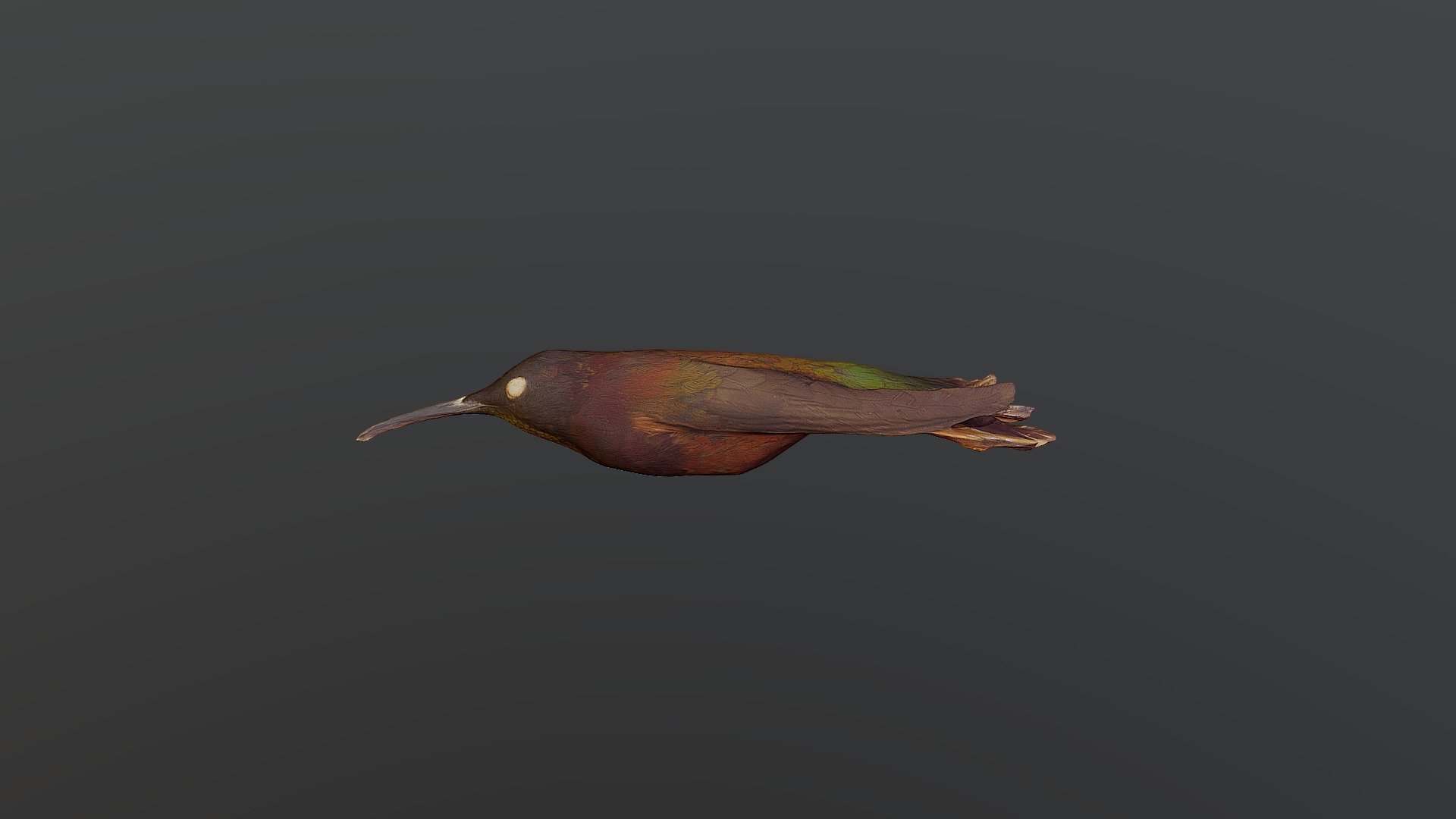 Crimson Topaz - Topaza pella - Download Free 3D model by MooreLab ...