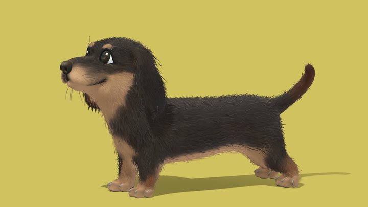 Puppy 3D models - Sketchfab