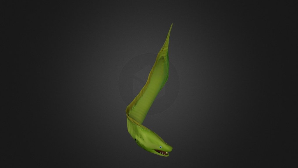 Moray Eel - 3D model by Brittany Thomas (@btho) [bf6554d] - Sketchfab