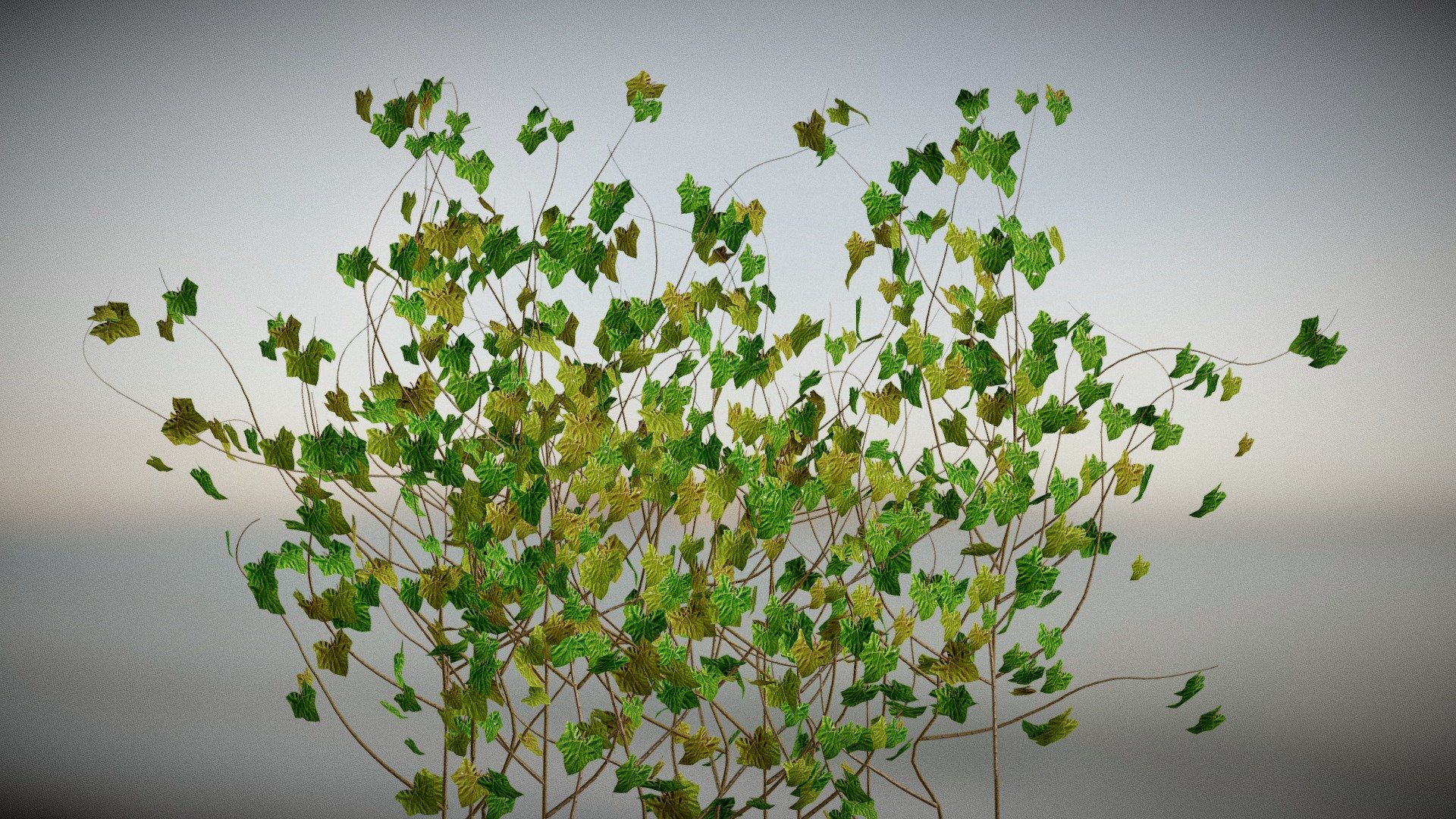 Ivy Plane - Download Free 3D model by Nicholas-3D (@Nicholas01 ...