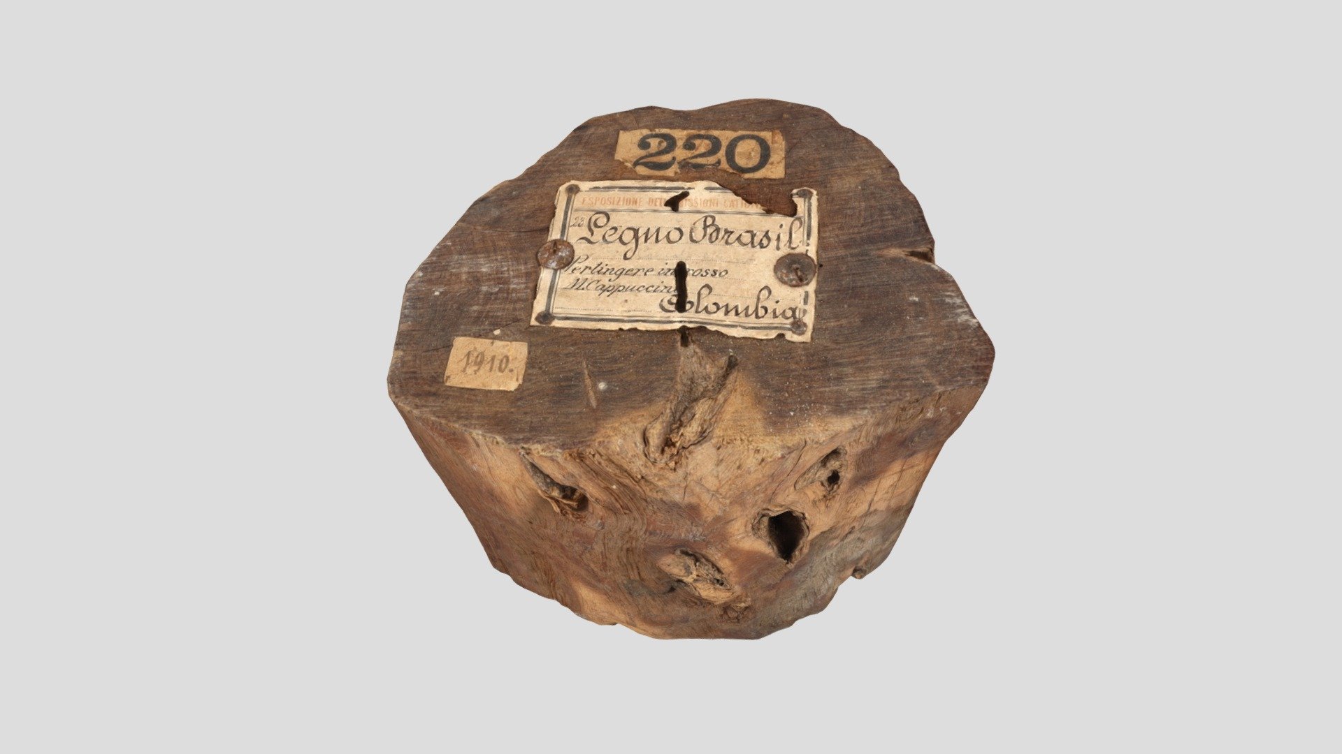 Wood Collection, Xylarium sample #4 - 3D model by SMA-UniGe [bf744d4 ...