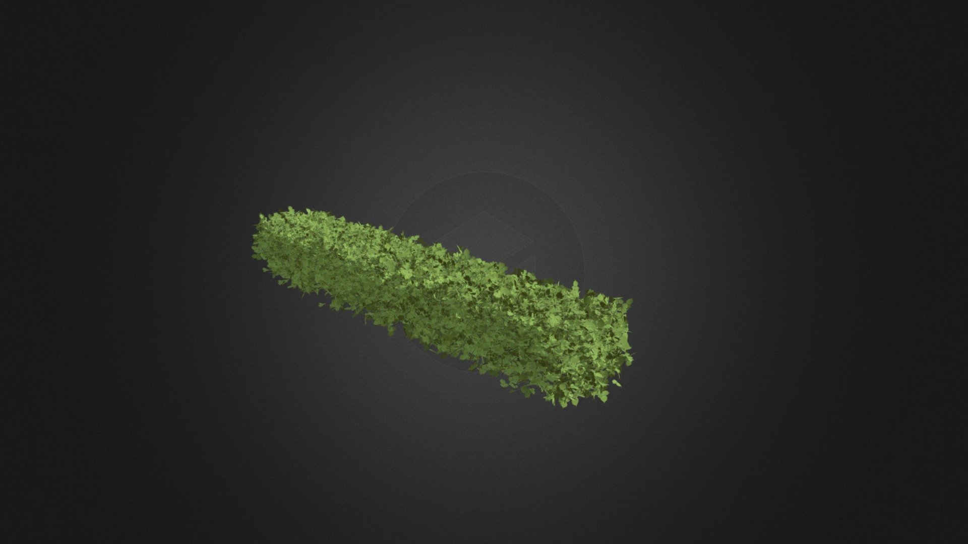 Straight Hedge 3D Model - Buy Royalty Free 3D model by cgaxis [bf7a134 ...