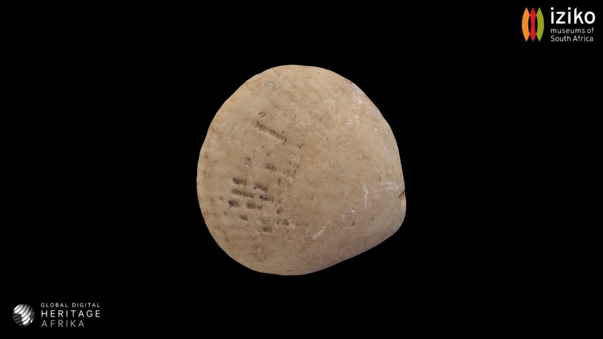 Shell Pendant 5 - Peers Cave, South Africa - Download Free 3D model by ...