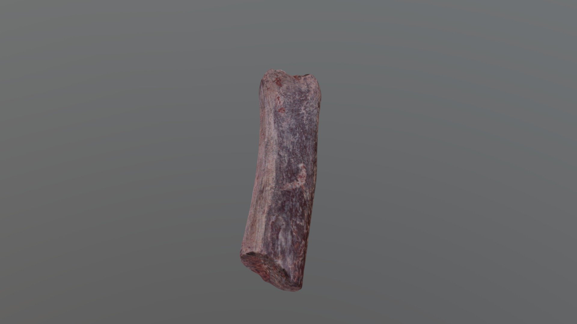 Theropod (dinosaur) rib bone - Download Free 3D model by anco ...