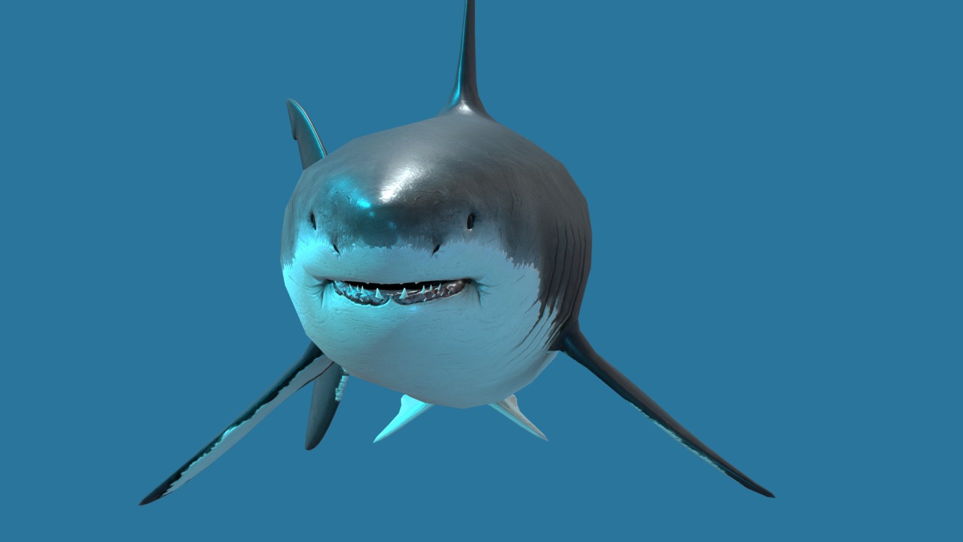 Great White Shark - Download Free 3D model by Sealife Fan 3 ...