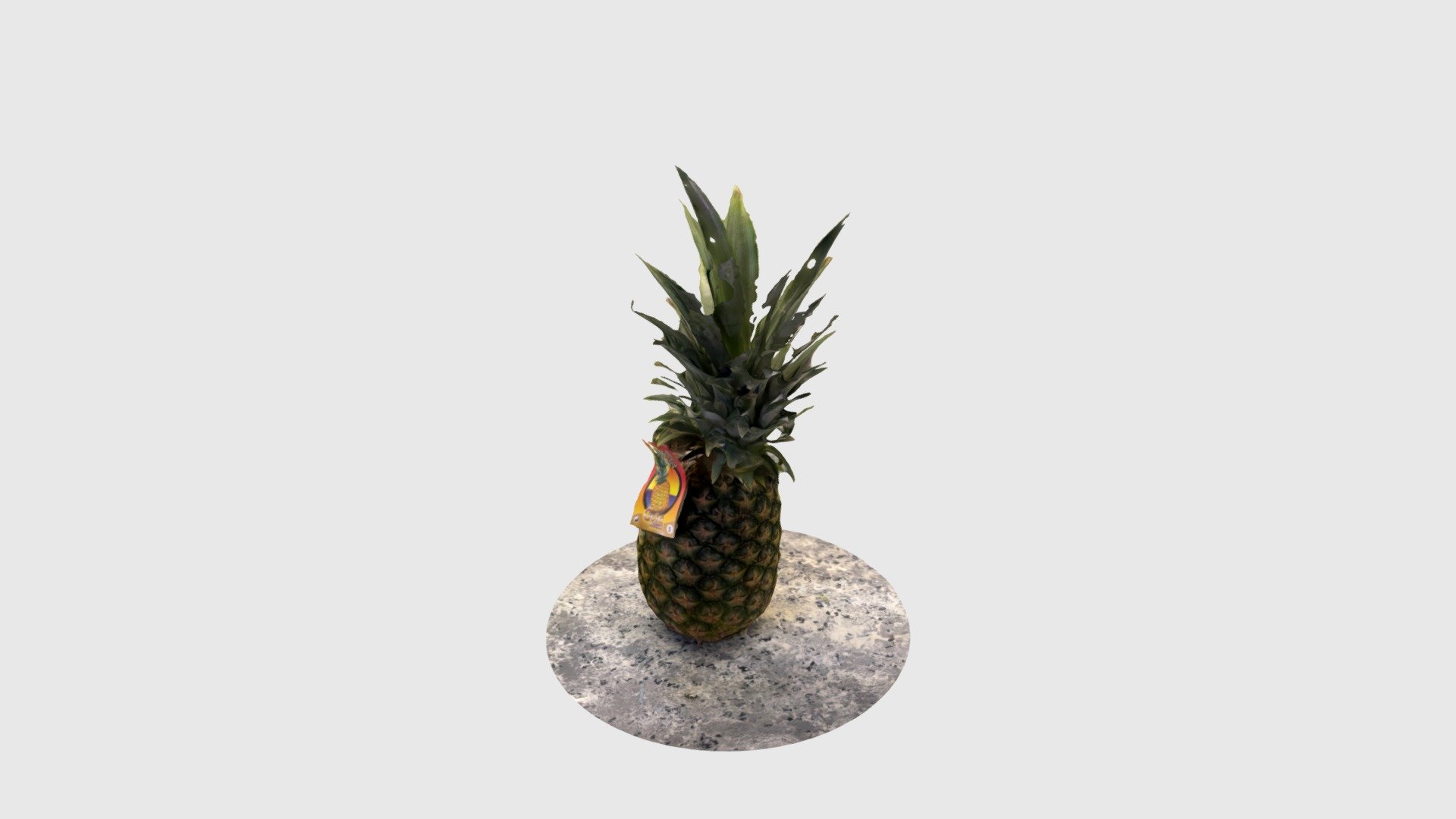 Pineapple - Download Free 3D model by Mbachand [bf82021] - Sketchfab