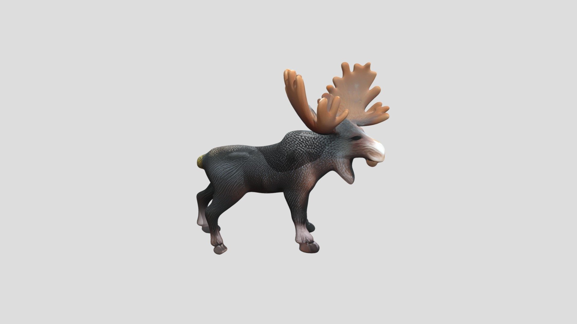 Moose(2025-04-29-11-31-20) - Download Free 3D model by ...