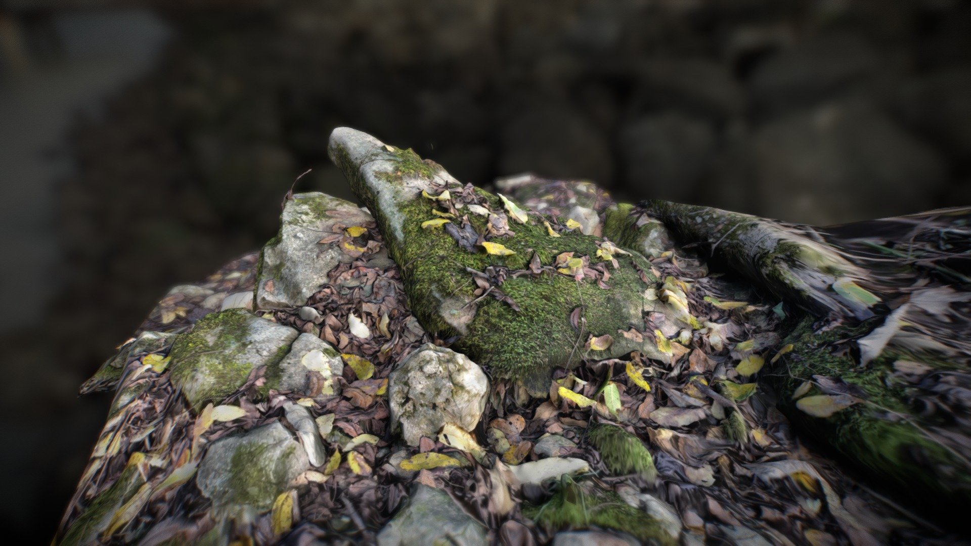 Interesting moss-covered rock - MTSU Animation - Download Free 3D model ...