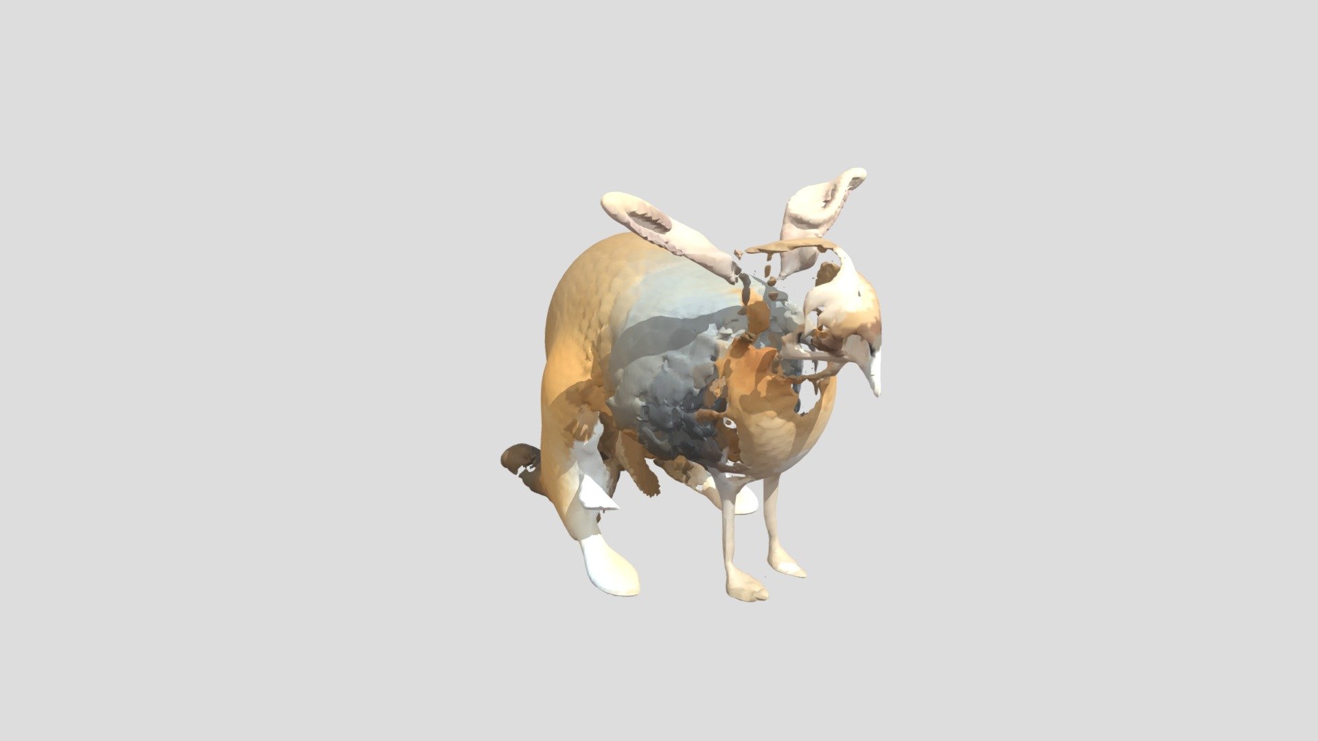rabiroo - Download Free 3D model by Mirage (@mirageml) [bf8e0f0 ...