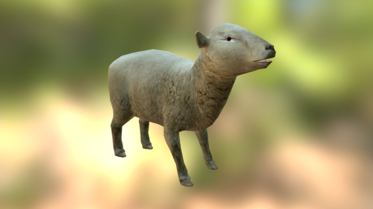 SHEEP - 3D model by louis_fourie [bf9b17f] - Sketchfab