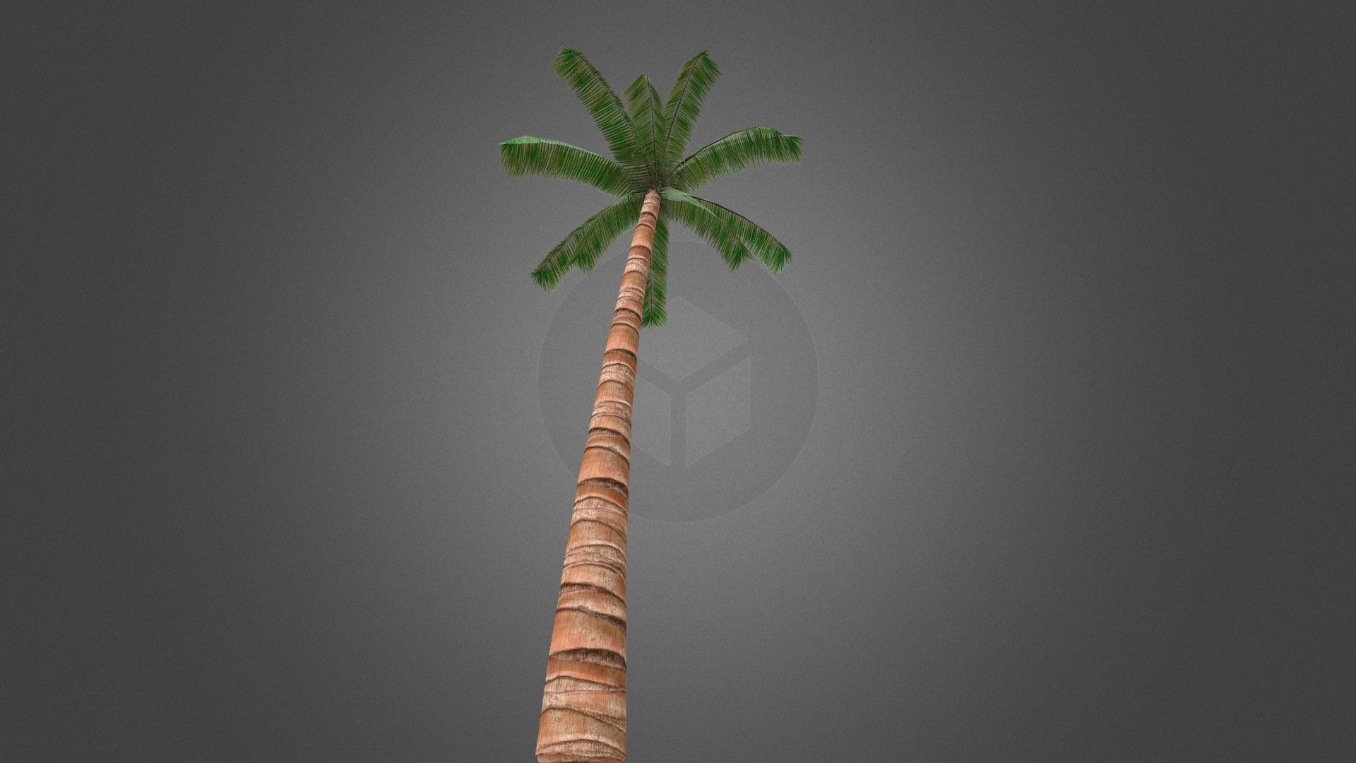Palm Tree - 3D model by Chris Arthur (@Loblegonst) [bf9b836] - Sketchfab