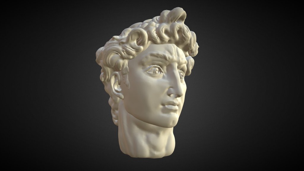 Michelangelo David - 3D model by rahul_singh95 [bf9bba4] - Sketchfab