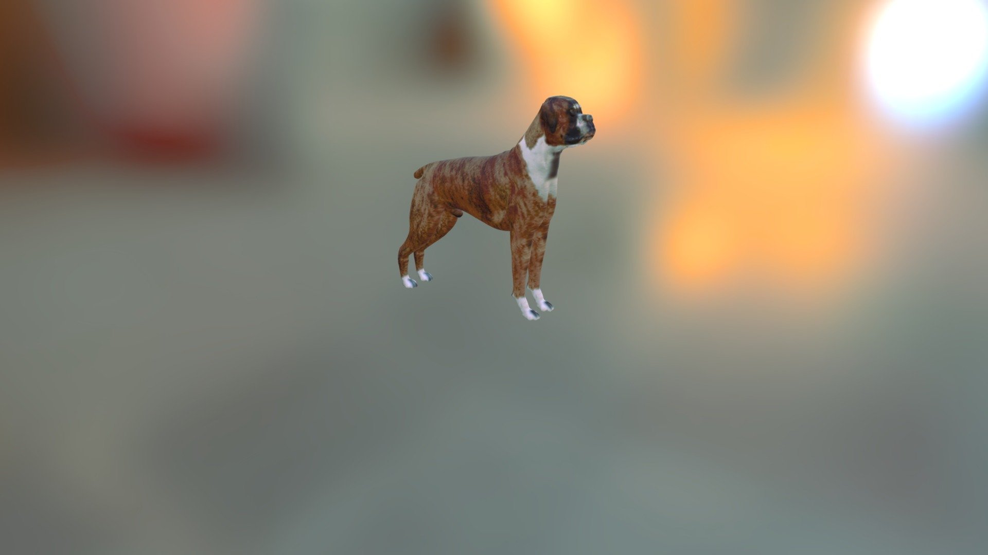 Boxer dog - 3D model by Vahe Simonyan (@vardges) [bf9e55a] - Sketchfab