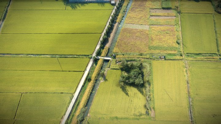 Farmland 3D models - Sketchfab