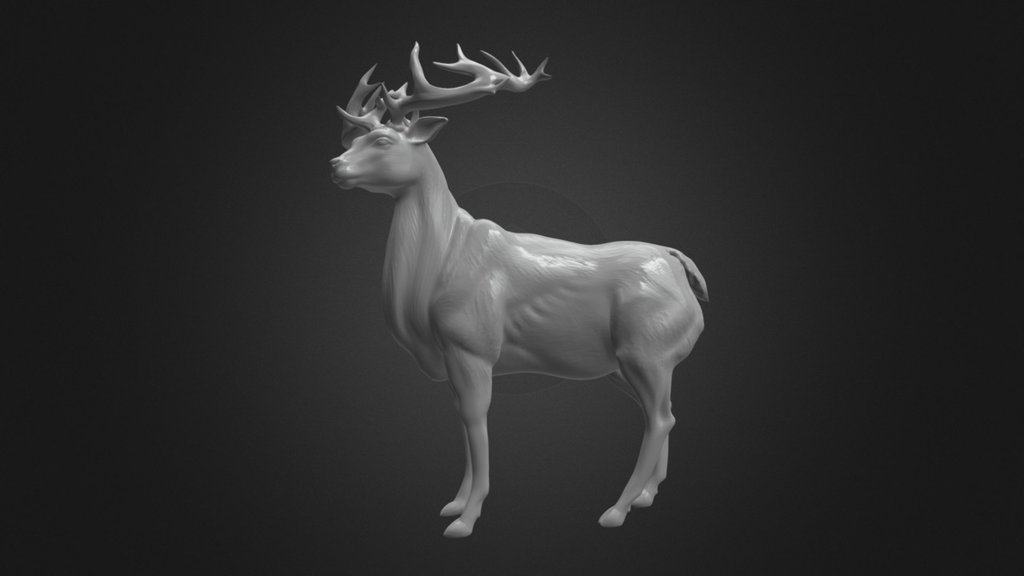 White Buck - 3D model by forgeify (@forgeify.co) [bfa9569] - Sketchfab