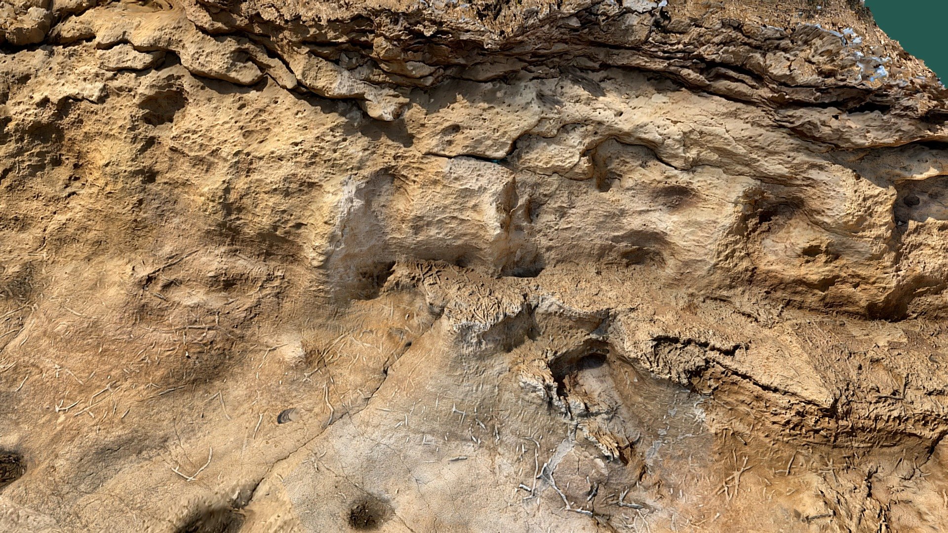 Trace fossils, Spain - Download Free 3D model by Sara Carena ...