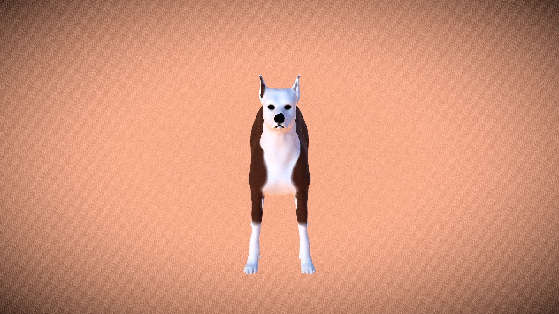 Dexter - 3D model by ximoko [bfb1074] - Sketchfab