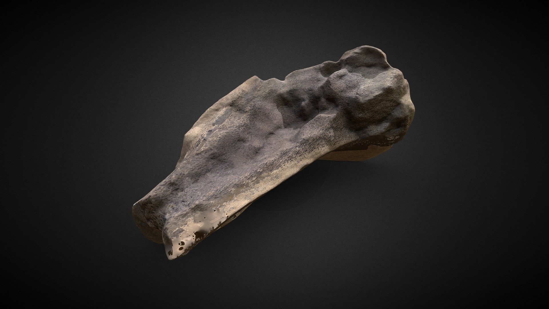 CZI-P019 Fragment of mammal tibia - 3D model by Santiago L. Viteri ...
