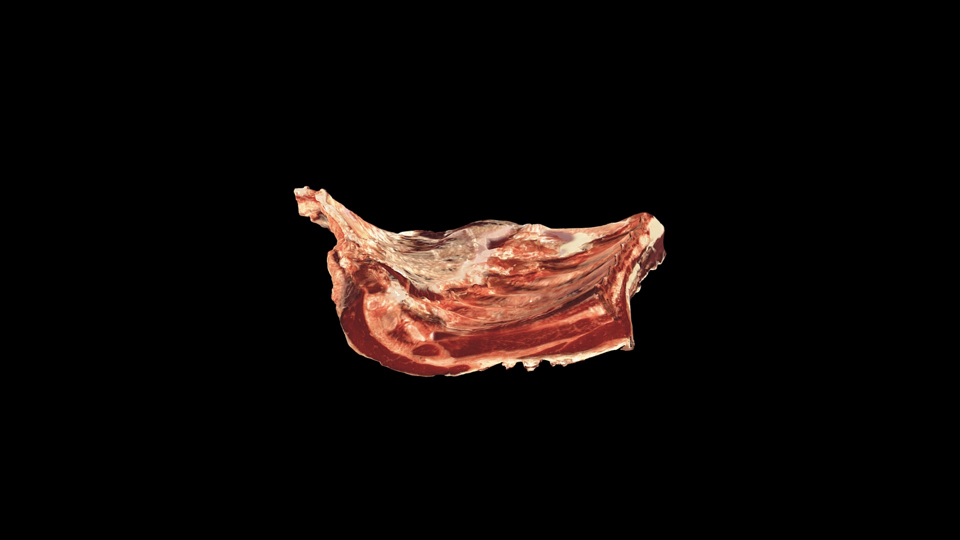 IMPs, 121 Beef Plate - Download Free 3D model by UNLMeat Collections ...
