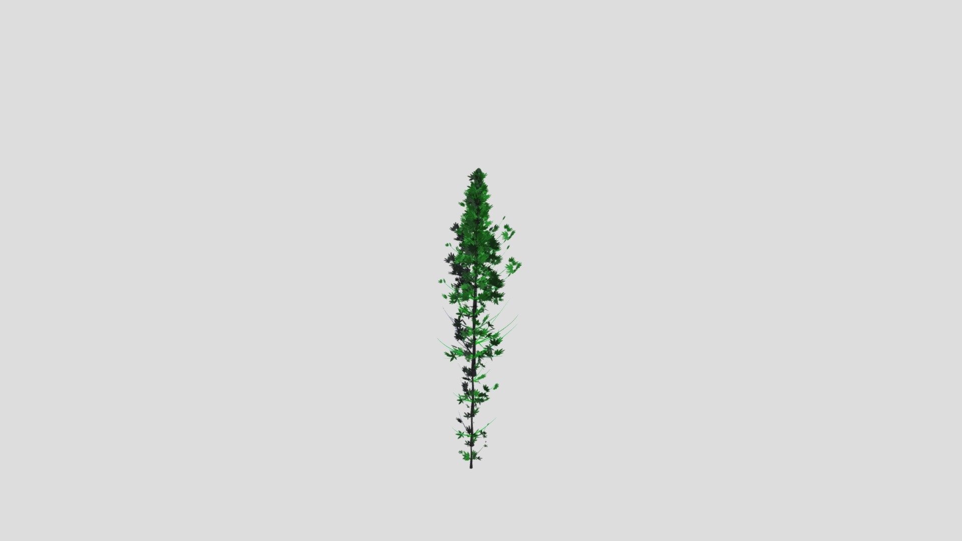 Growing Weed Low Poly - 3D model by walk3r [bfba8e5] - Sketchfab